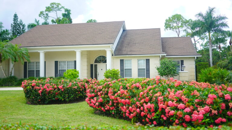 Ixora Nora Grant – Colibri Nursery